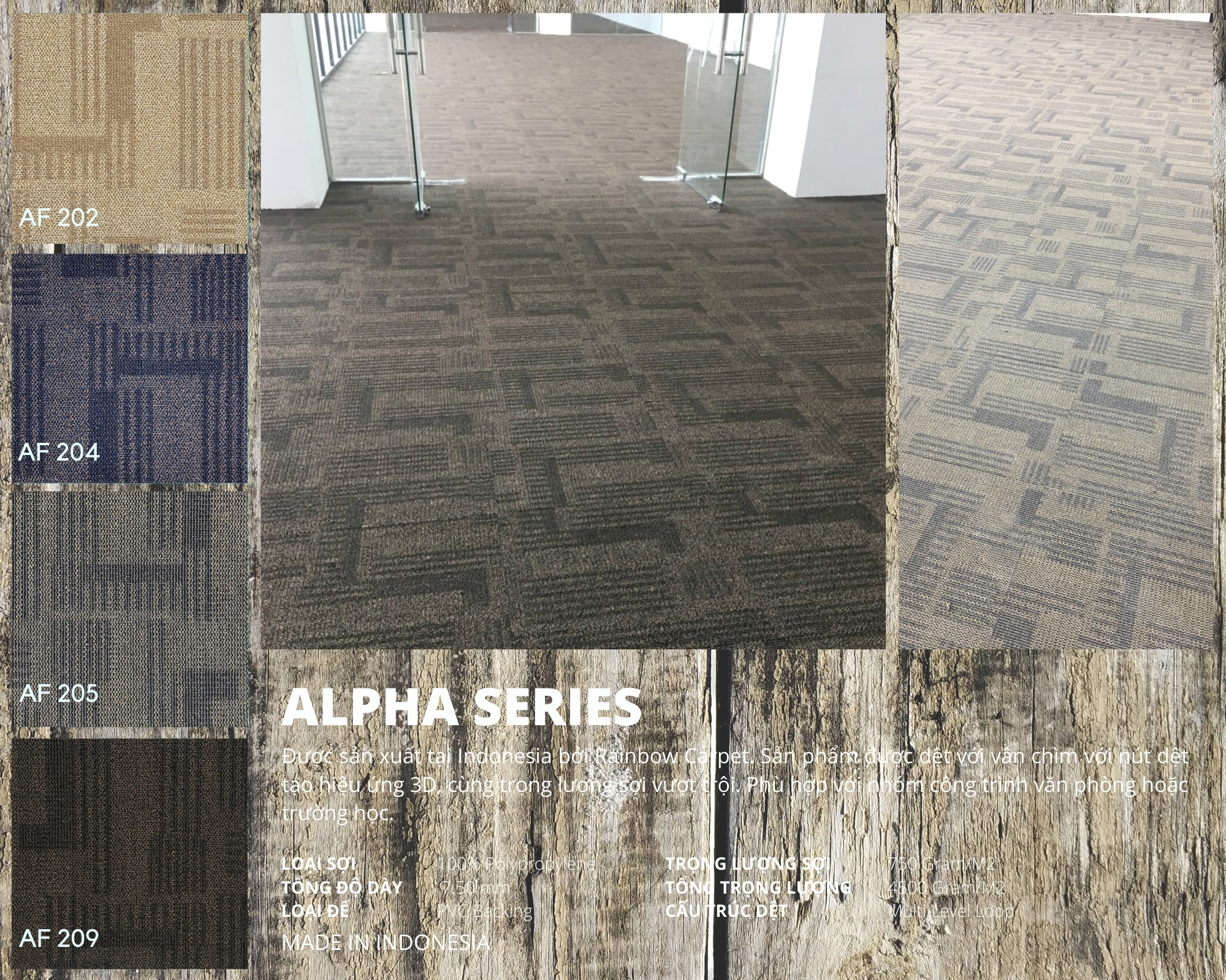 Thảm tấm - ALPHA | Thảm trải sàn miền bắc